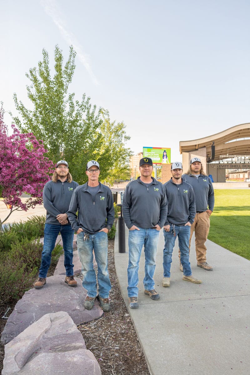 Face Of Irrigation & Landscaping: Yellow Jacket Irrigation ...